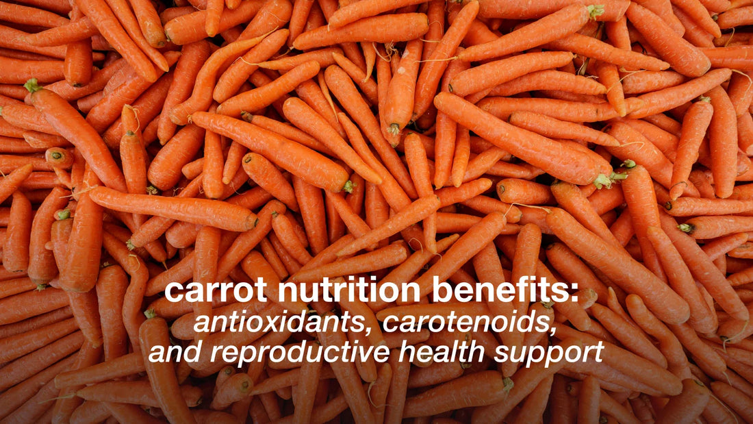 Carrot Nutrition Benefits: Antioxidants, Carotenoids, and Reproductive ...